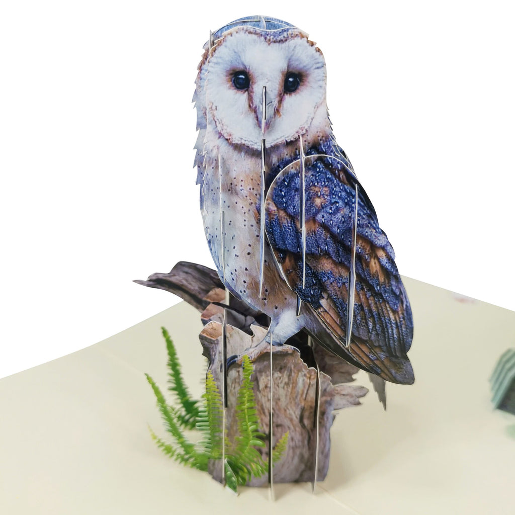 Barn Owl Pop-Up Card – CardPop.co.uk