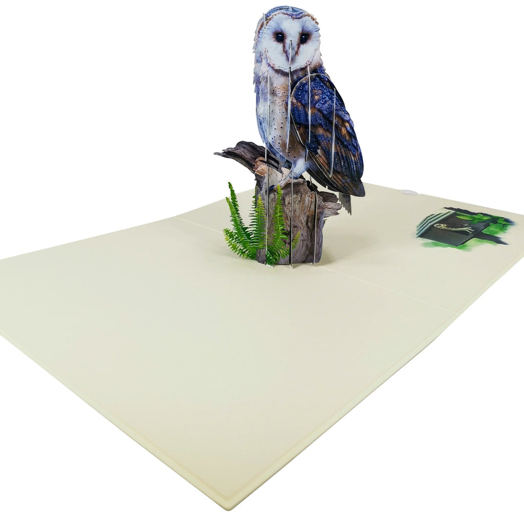 Barn Owl Pop-Up Card – CardPop.co.uk