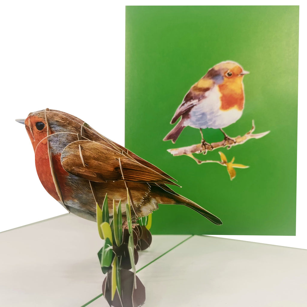 Robin Red Breast Pop-Up Card – CardPop.co.uk