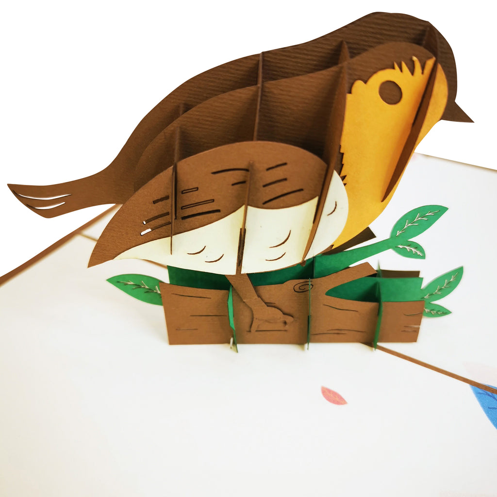 Robin Redbreast Pop-Up Card – CardPop.co.uk