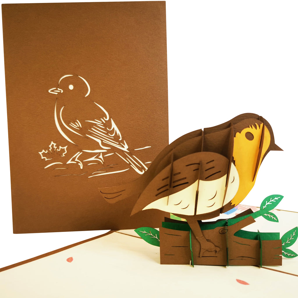 Robin Redbreast Pop-Up Card – CardPop.co.uk