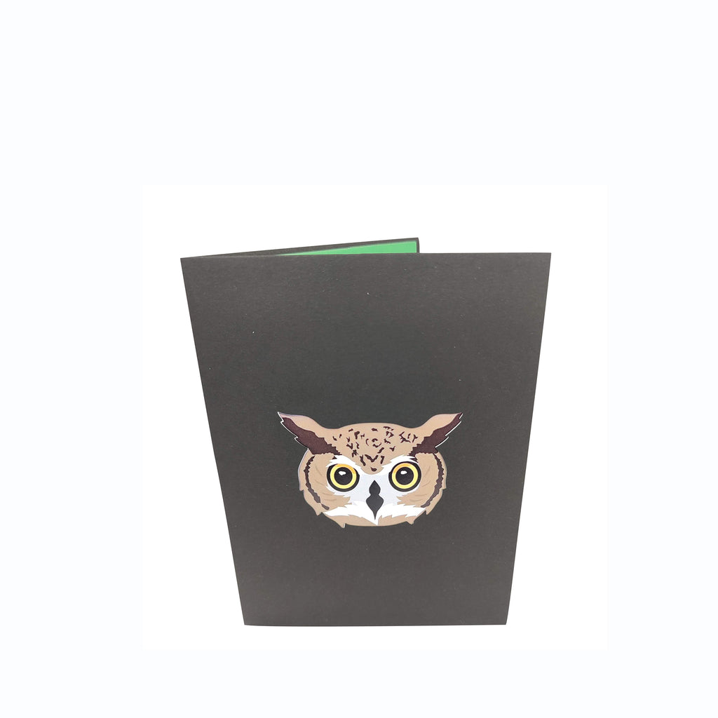 Brown Owl Pop-Up Card – CardPop.co.uk